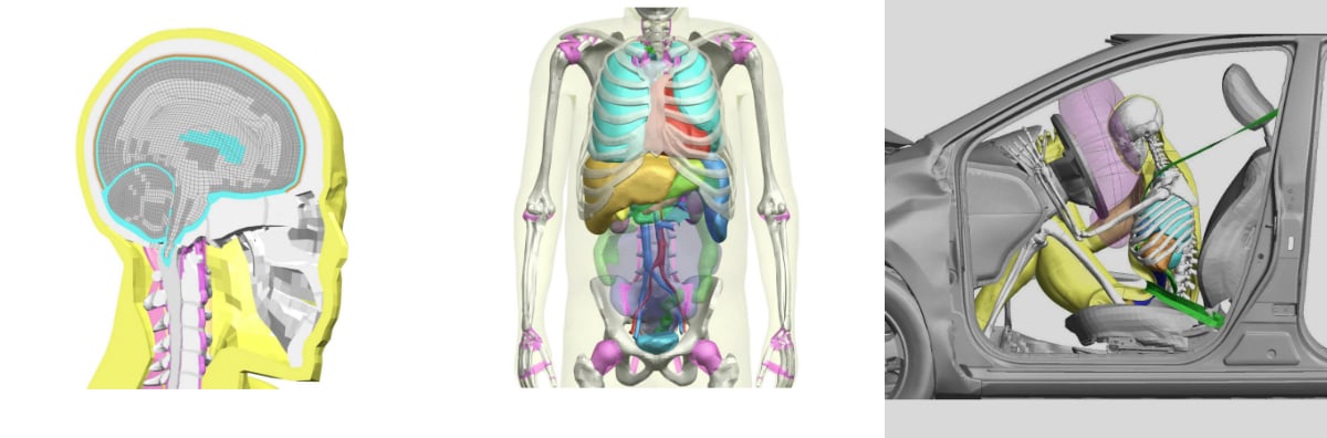 Toyota adds child models to virtual crash dummy lineup | Torque