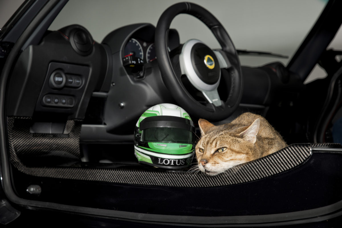 Lotus introduces helmets for the pet cats of petrolheads | Torque Lotus introduces helmets for the pet cats of petrolheads | Torque