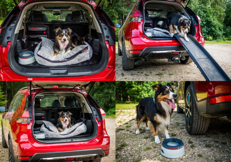 Nissan X-Trail's new 'Paw Pack' | Torque