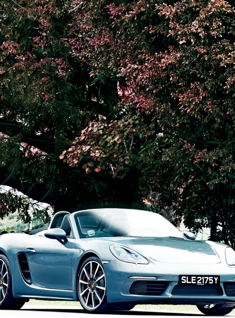 Stronger Boxer | Torque