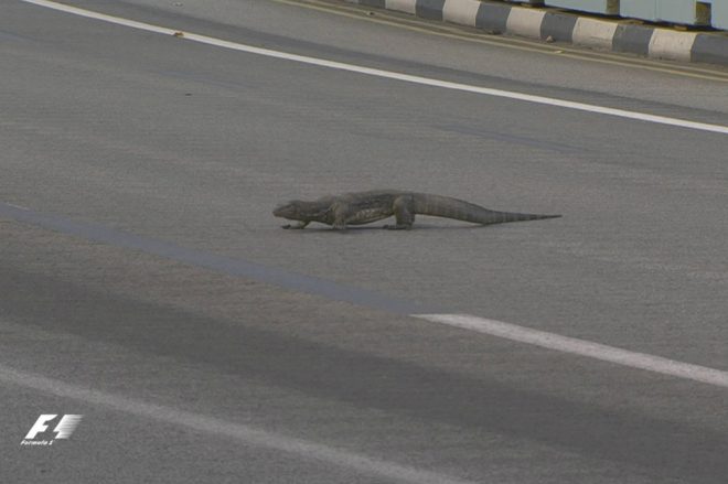 11 great moments from 11 years of Singapore F1 Grand Prix