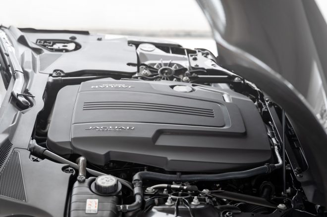 Jaguar F-Type 2.0 review: Here kitty kitty! | Torque